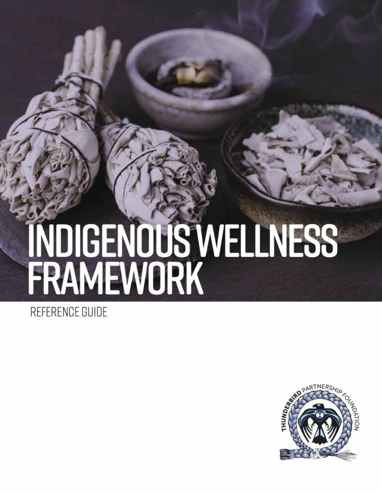 Indigenous Wellness Framework