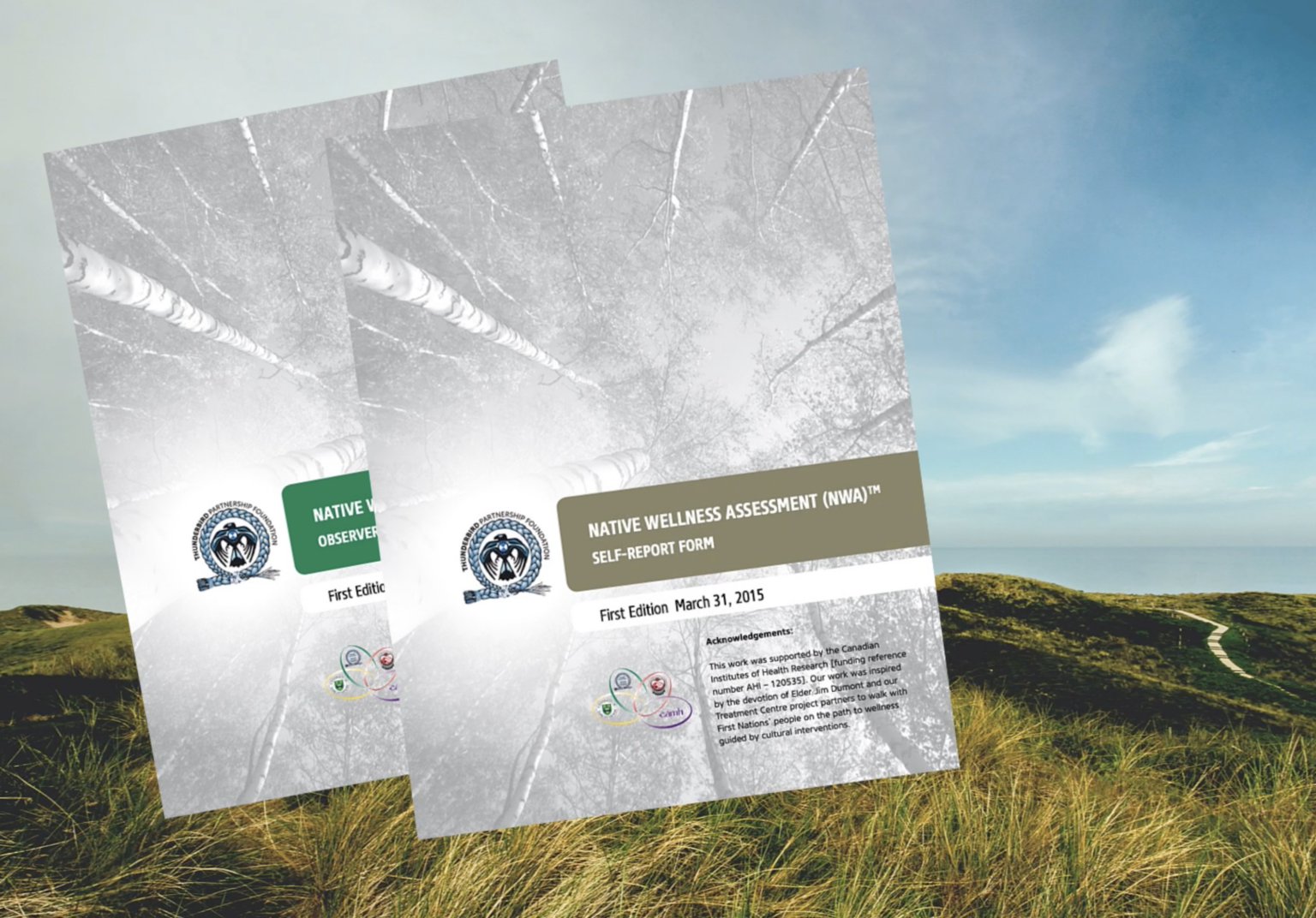 Native Wellness Assessment - Thunderbird Native Wellness Assessment - Thunderbird