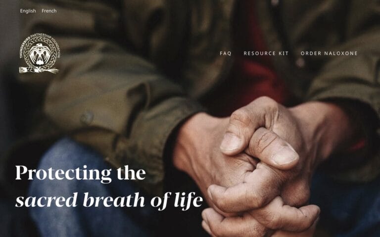 Indigenous Wellness Framework